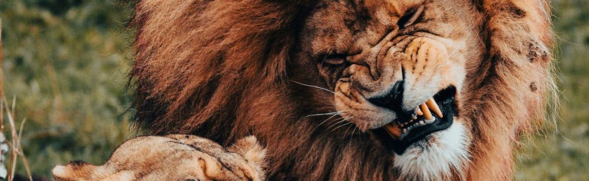 Telephone etiquette: why is it important for a brand and business ...